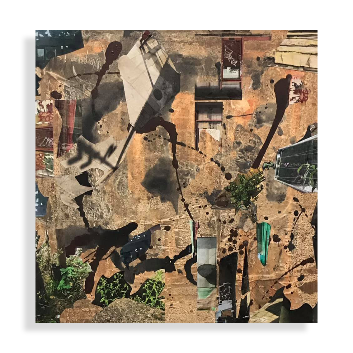 Fiona Masterton | ASC